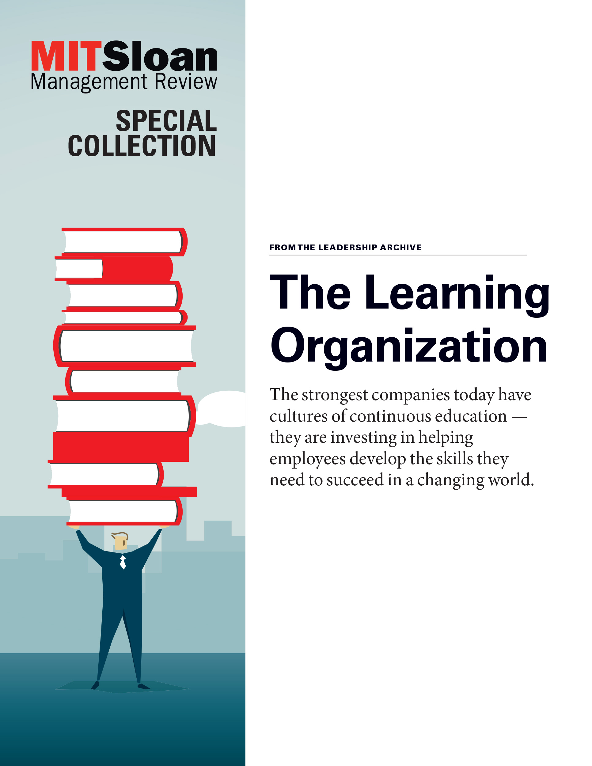 Cover - The Learning Organization [Book]