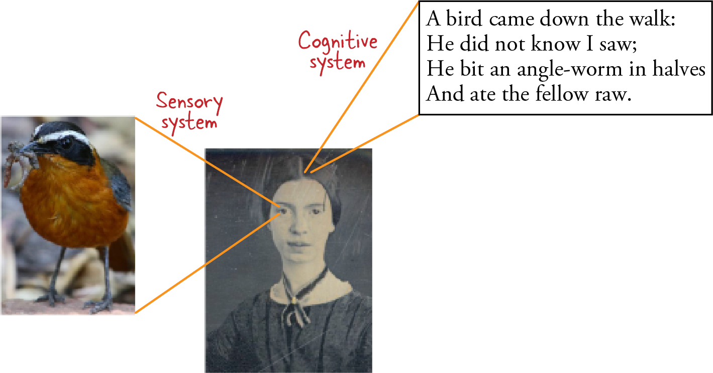 1. Machine Learning for Computer Vision - Practical Machine Learning ...