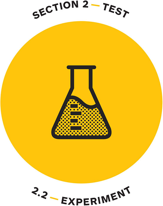 2.2 — Experiment - Testing Business Ideas [Book]