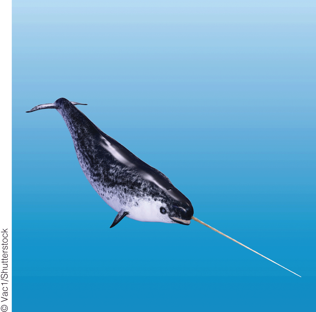 CHAPTER 2: DIGITAL IS DIFFERENT? - Managing Innovation, 8th Edition [Book]