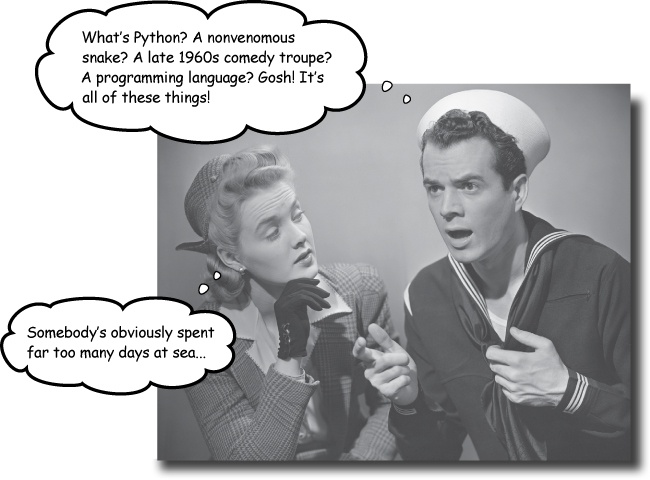 1. The Basics: Getting Started Quickly - Head First Python, 2nd Edition [Book]