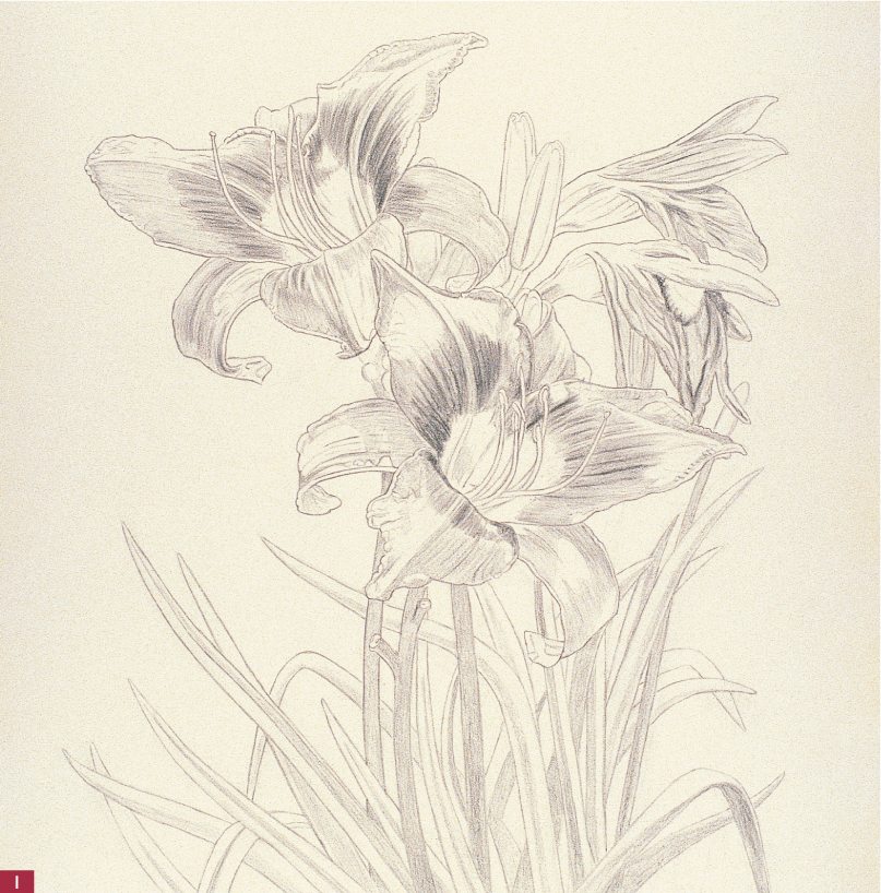 Colored Pencil Step by Step - Colored Pencil Step by Step [Book]