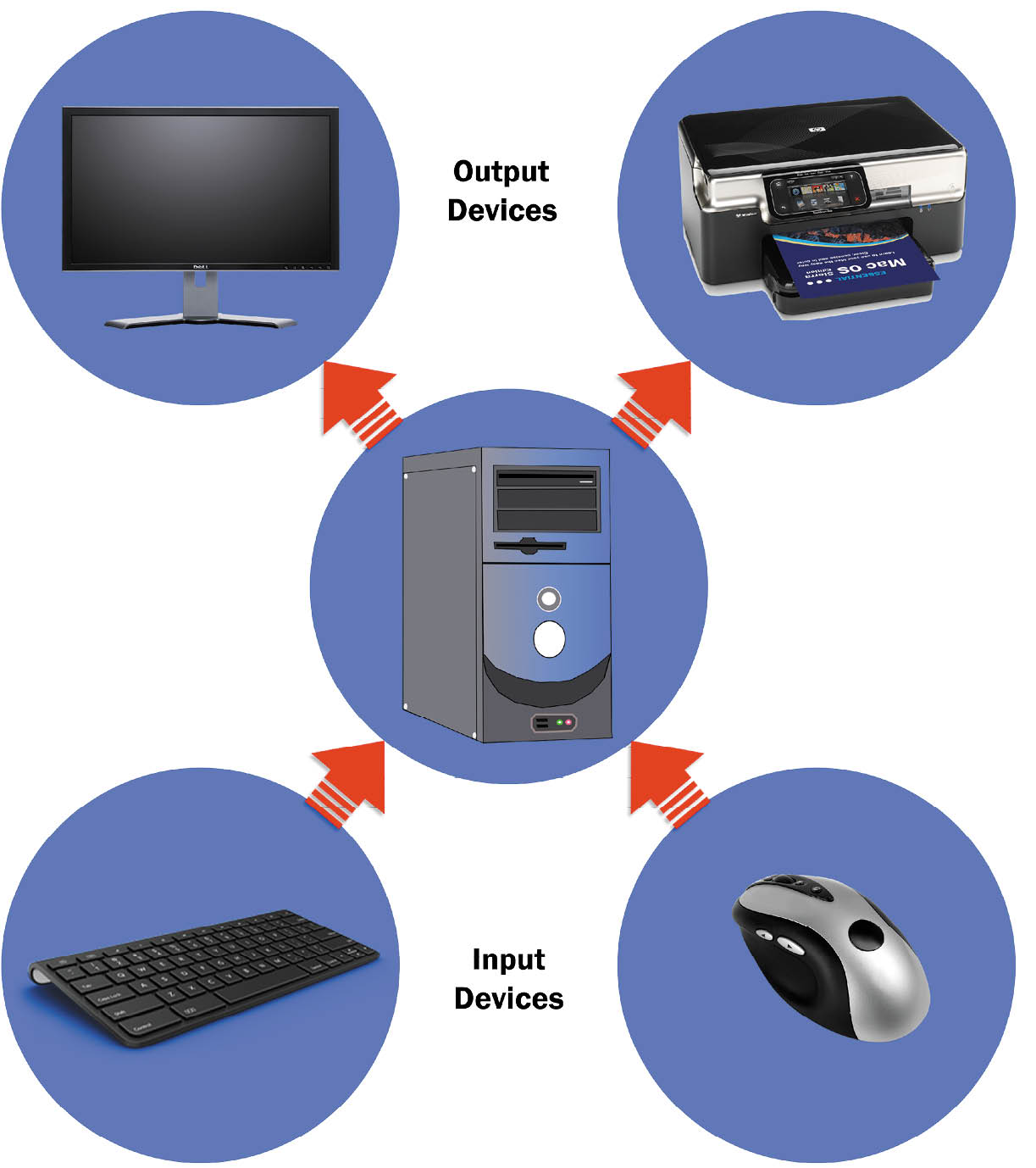 Basic Peripherals - Exploring Computer Hardware [Book]