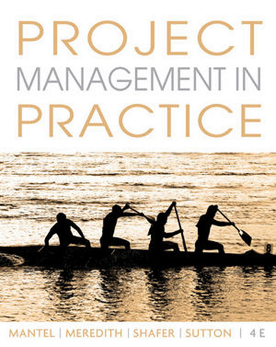 2. The Manager, the Organization, and the Team - Project Management in ...