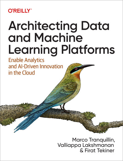 Architecting Data and Machine Learning Platforms [Book]