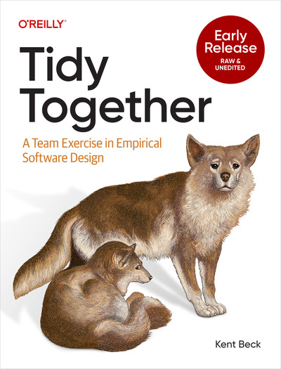 Tidy Together [Book]