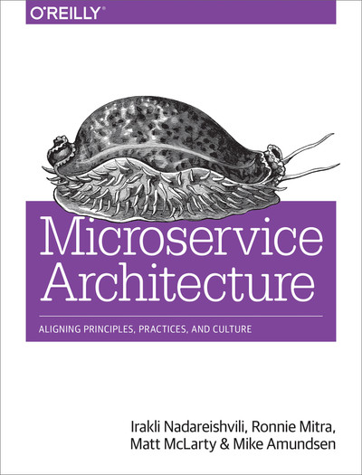 The Microservices Way - Microservice Architecture [Book]