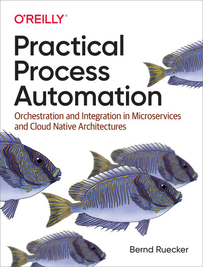Practical Process Automation [Book]