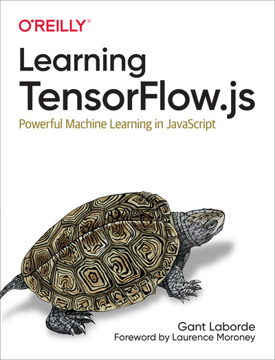1. AI Is Magic - Learning TensorFlow.js [Book]