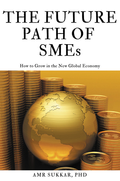 Chapter 3 The Importance of SMEs on Developing Countries - The Future ...