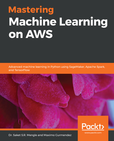 Mastering Machine Learning on AWS [Book]