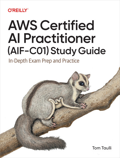 8. A Framework for Responsible AI - AWS Certified AI Practitioner (AIF-C01) Study Guide [Book]