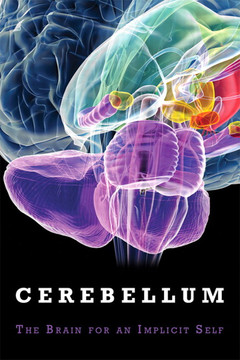 4. Input and Output Pathways in the Cerebellar Cortex - The Cerebellum ...