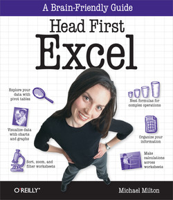 Head First Excel [Book]
