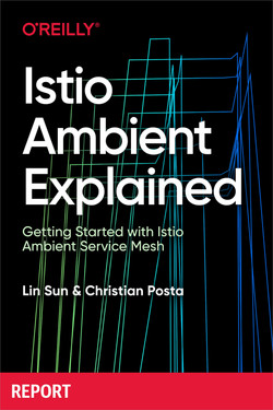 Istio Ambient Explained[Book]