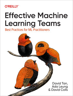 Effective Machine Learning Teams[Book]