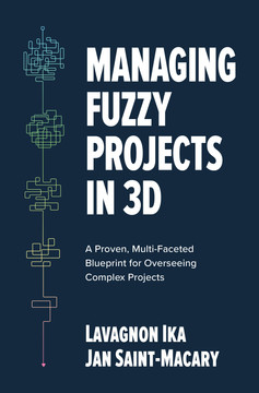 CHAPTER 3 Strategy and the Role of Project Management - Managing Fuzzy ...