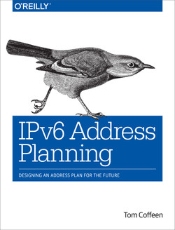 IPv6 Address Planning[Book]