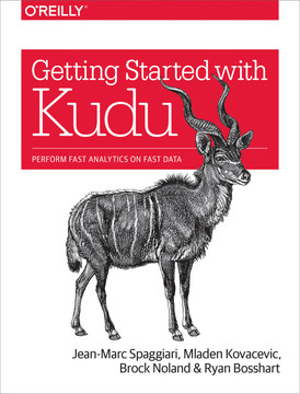 4. Kudu Administration - Getting Started with Kudu [Book]