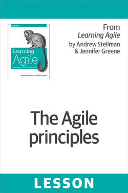 The Agile principles[Book]