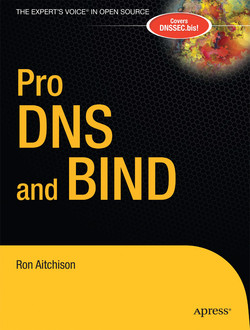 Pro DNS and BIND[Book]