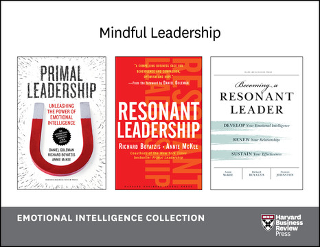 THREE: THE NEUROANATOMY OF LEADERSHIP - Mindful Leadership: Emotional ...
